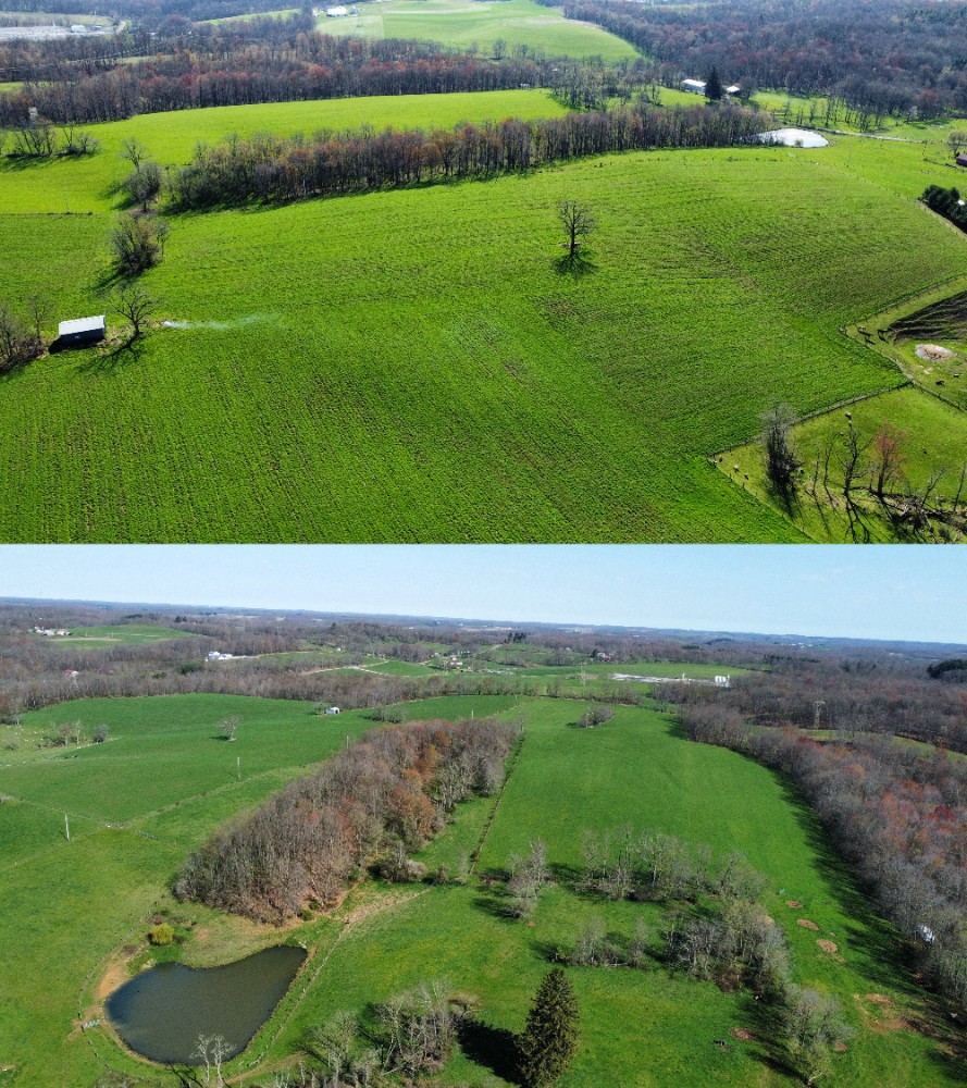 104 Acres Of Productive Farmland