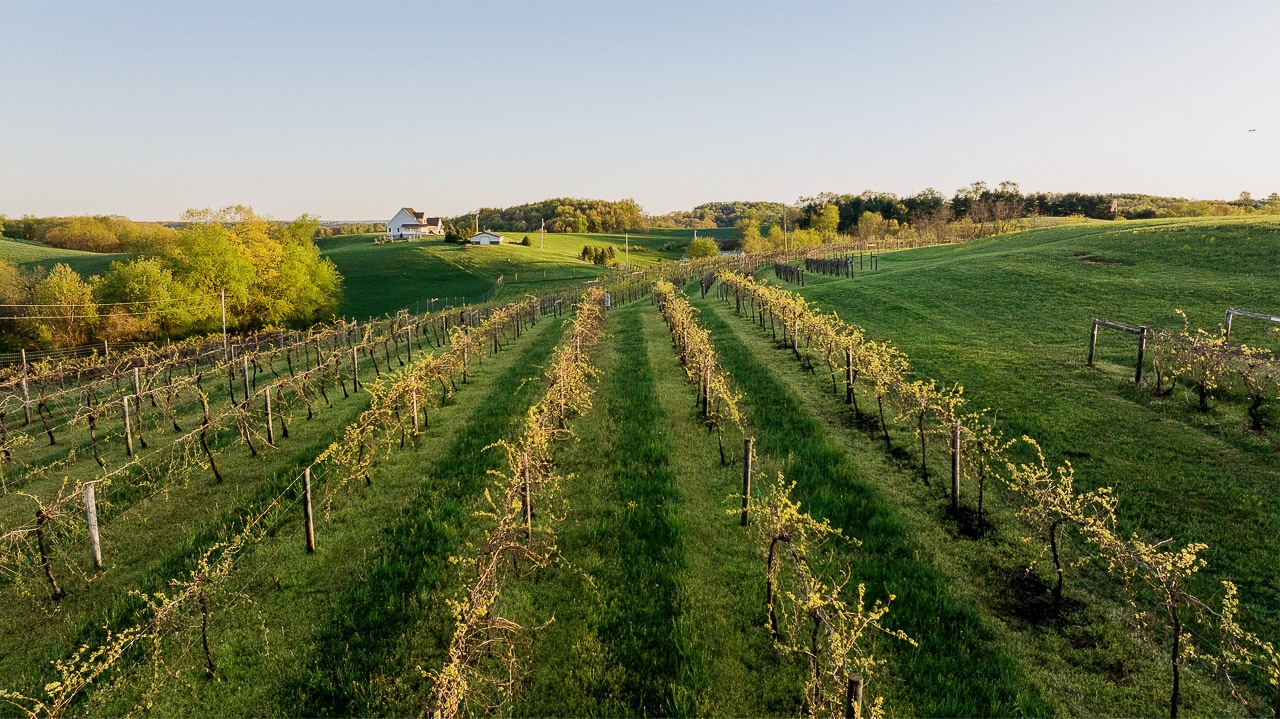 12.65-Acre Hide-A-Way, Vineyard Equipment, Tools