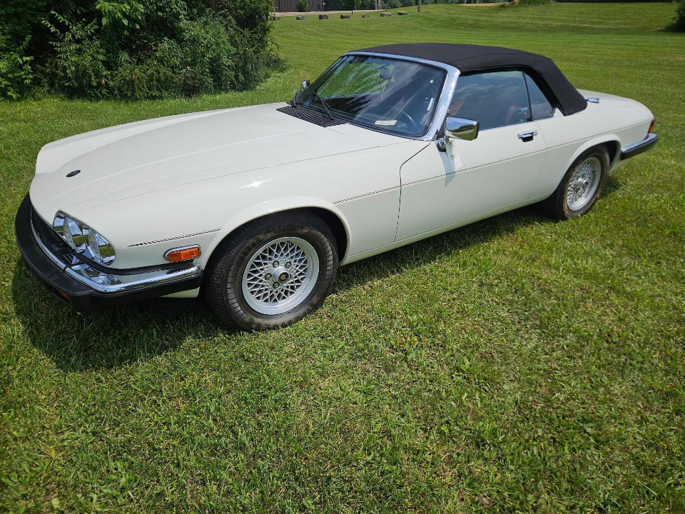 Mark Rochester Estate Auction No. 50 | Online Only